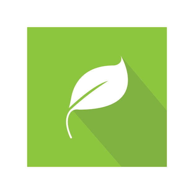 Elegant White Leaf Icon on Vibrant Green Background | Jiffy Designs