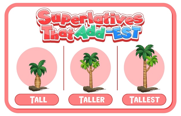 Superlatives That Add-est: Tall, Taller, Tallest Palm Trees | Jiffy Designs