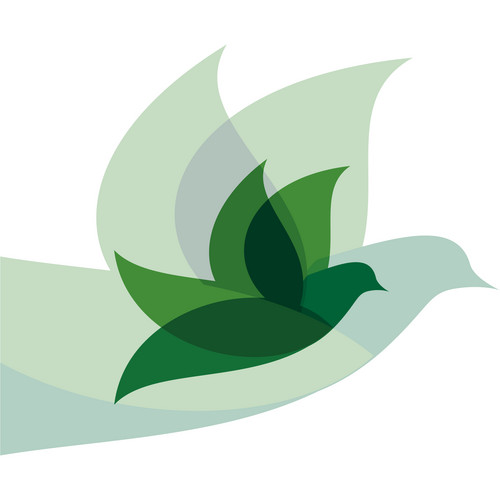 Eco Bird Business Logo | Jiffy Designs