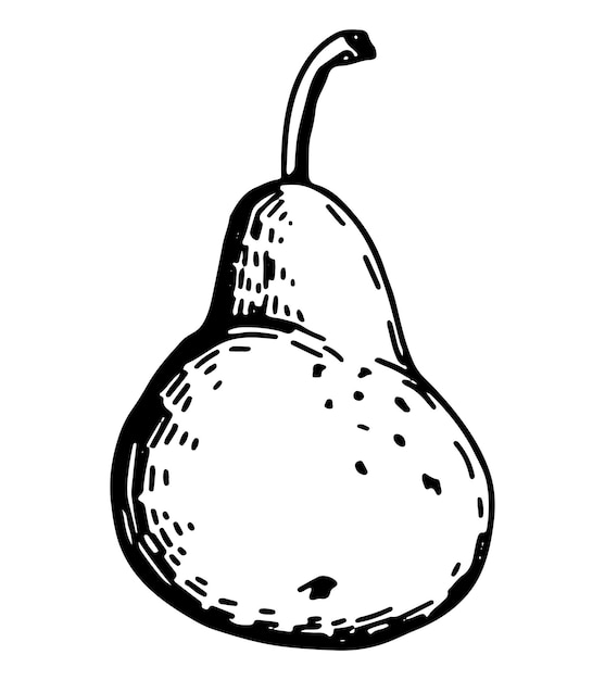 Elegant Spotted Pear: A Unique Graphic Illustration | Jiffy Designs