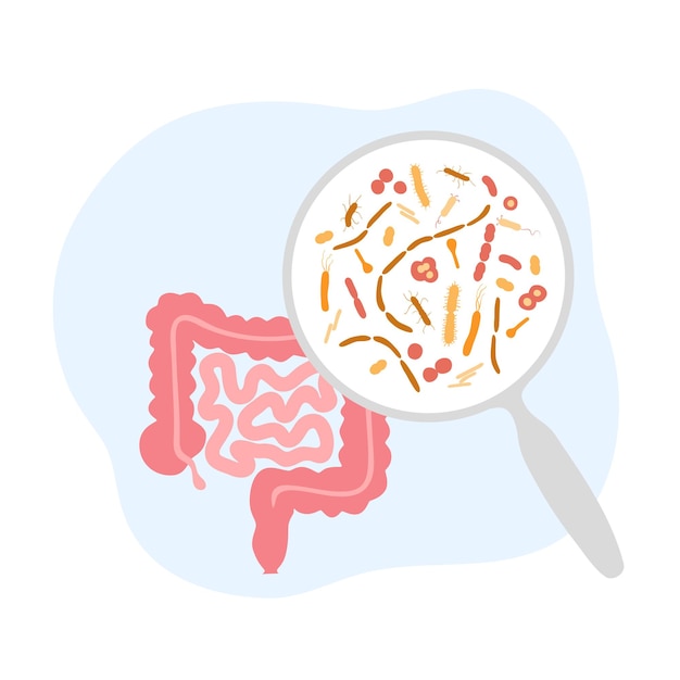 Vibrant Gut Microbiome Illustration Under Microscope | Jiffy Designs