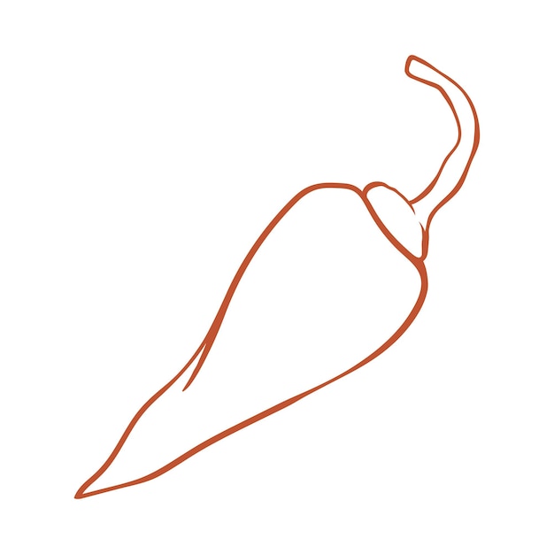 Elegant Minimalist Chili Pepper Outline Illustration | Jiffy Designs