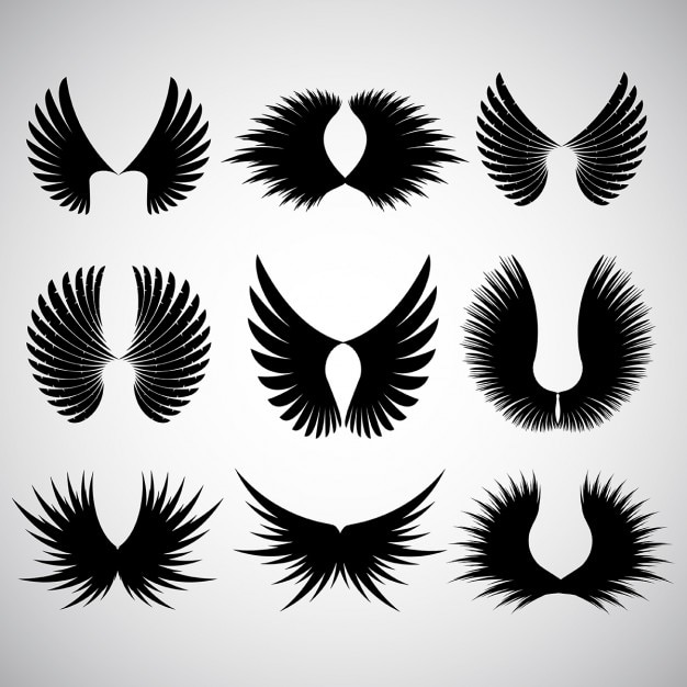 Collection of Striking Black Wing Illustrations with Diverse Styles ...