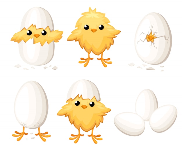 Adorable Baby Chicks Hatching from Eggs Illustration Set | Jiffy Designs