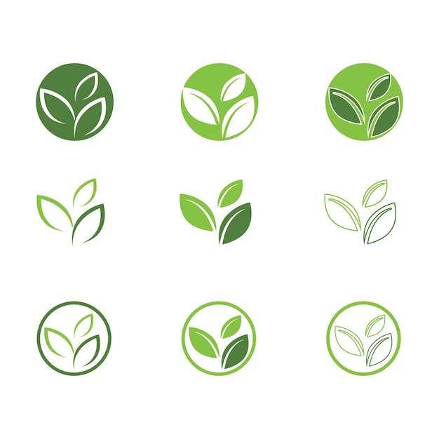Diverse Collection of Vibrant Leaf Graphic Elements | Jiffy Designs