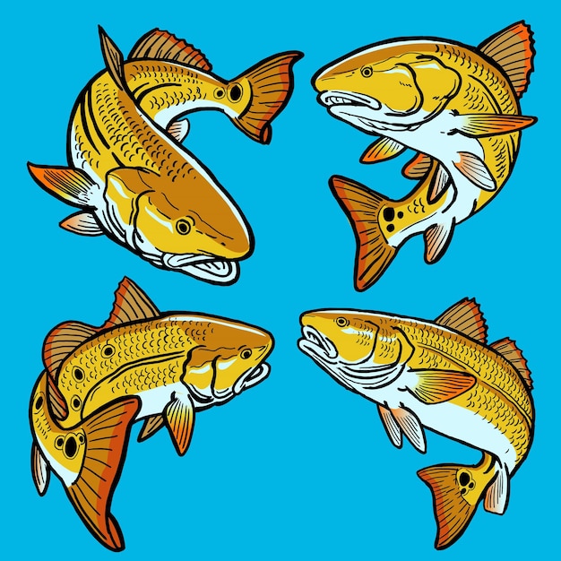 Vibrant Collection of Illustrated Freshwater Fish | Jiffy Designs