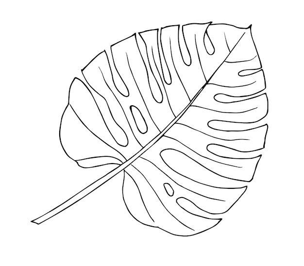 Elegant Tropical Leaf Outline for Versatile Design | Jiffy Designs