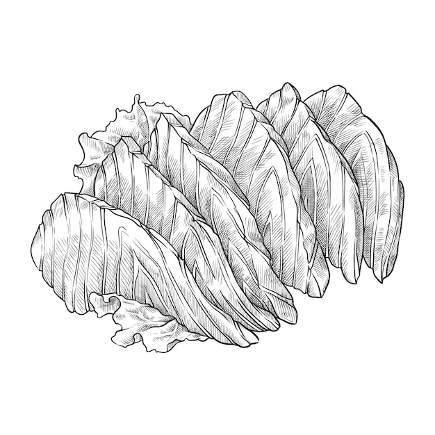 Elegant Feather Cluster in Monochrome Sketch | Jiffy Designs