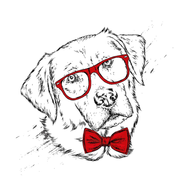 Dapper Dog in Glasses and Bow Tie Illustration | Jiffy Designs