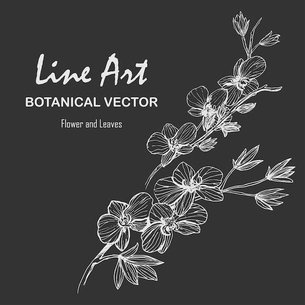 Elegant Botanical Line Art Floral Design | Jiffy Designs