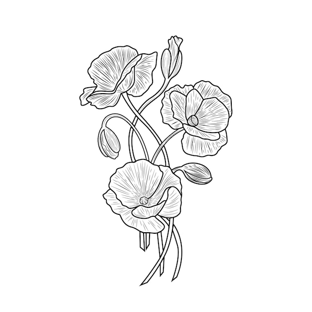 Elegant Floral Illustration with Delicate Line Art | Jiffy Designs