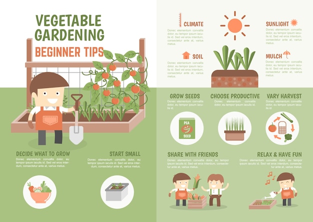 Beginner's Guide to Vegetable Gardening with Illustrated Tips | Jiffy ...