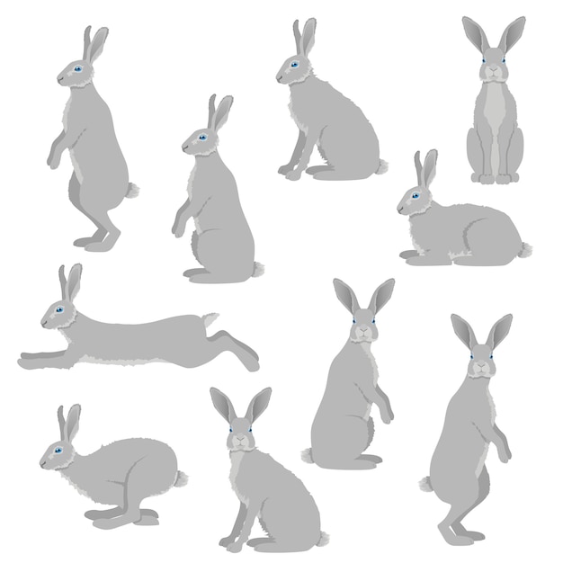 Stylized Rabbit Silhouettes in Diverse Poses and Perspectives | Jiffy ...