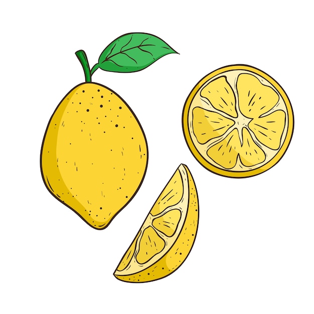 Vibrant Lemon Illustrations with Sliced and Whole Fruit Depictions ...