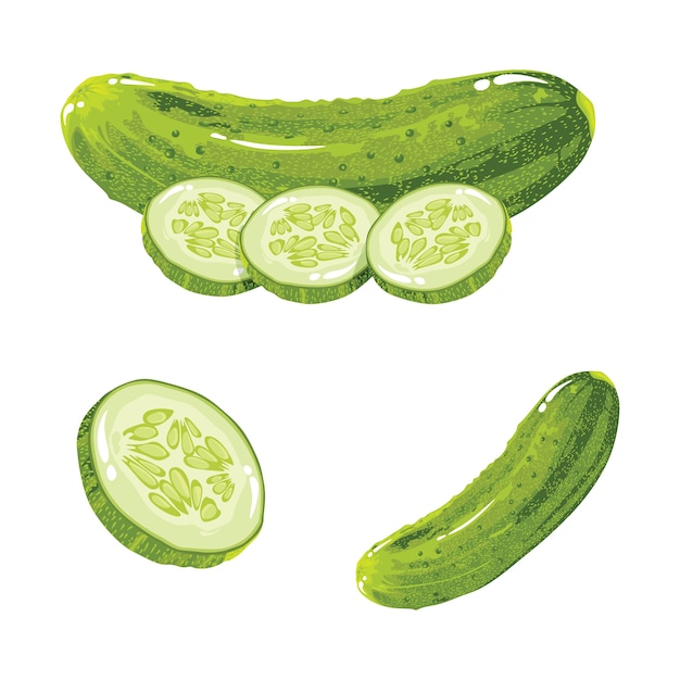 Fresh Green Cucumbers in Vibrant Watercolor Illustration | Jiffy Designs