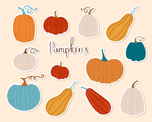 Colorful Autumn Pumpkins in Vibrant Hues and Shapes | Jiffy Designs