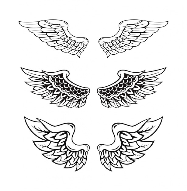 Diverse Collection of Detailed Angel Wings Illustrations | Jiffy Designs