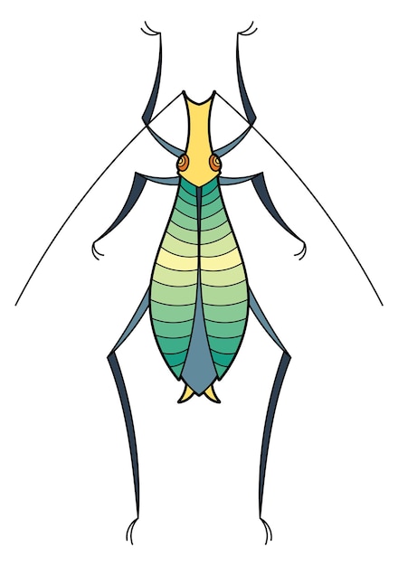 Vibrant Grasshopper Illustration with Detailed Patterns | Jiffy Designs
