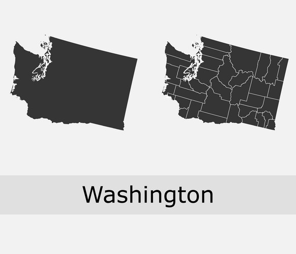 Washington Maps Vector Outline Counties, Townships, Regions ...