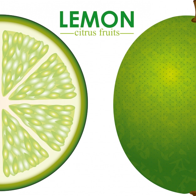 Vibrant Lemon Slice and Whole Citrus Fruit | Jiffy Designs