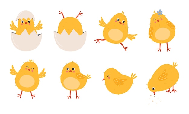 Adorable Chicks Hatching and Chirping in Playful Illustration | Jiffy ...