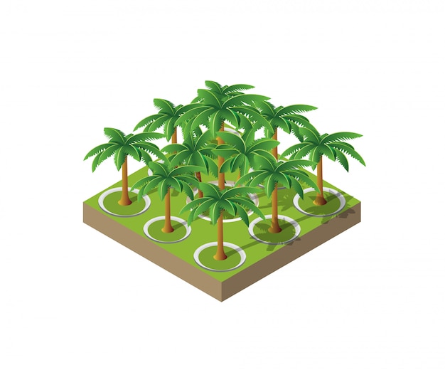 Vibrant Isometric Palm Tree Illustration with Tropical Landscape ...