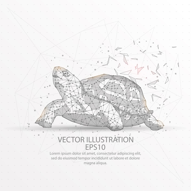 Geometric Tortoise in Detailed Wireframe Design | Jiffy Designs
