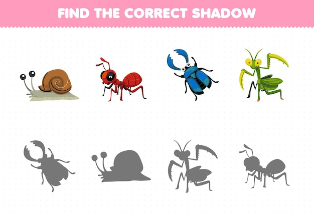 Vibrant Insect Collection: Matching Shadows and Creatures | Jiffy Designs