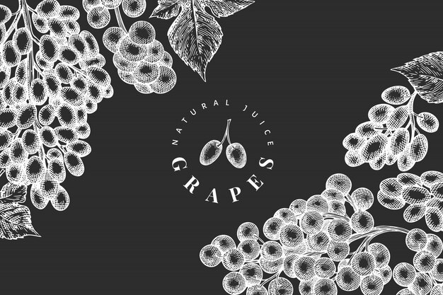 Elegant Grapevine Illustration on Chalkboard Background | Jiffy Designs