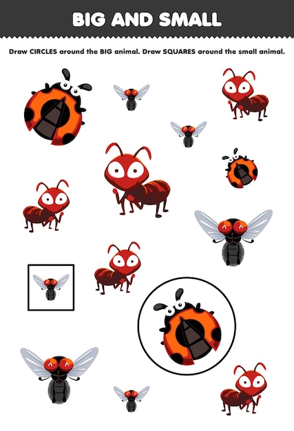 Charming Collection of Diverse Big and Small Insects | Jiffy Designs