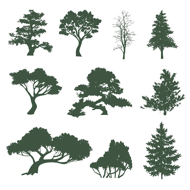 Diverse Forest Silhouettes: Evergreens, Deciduous, and Twisted Trees ...