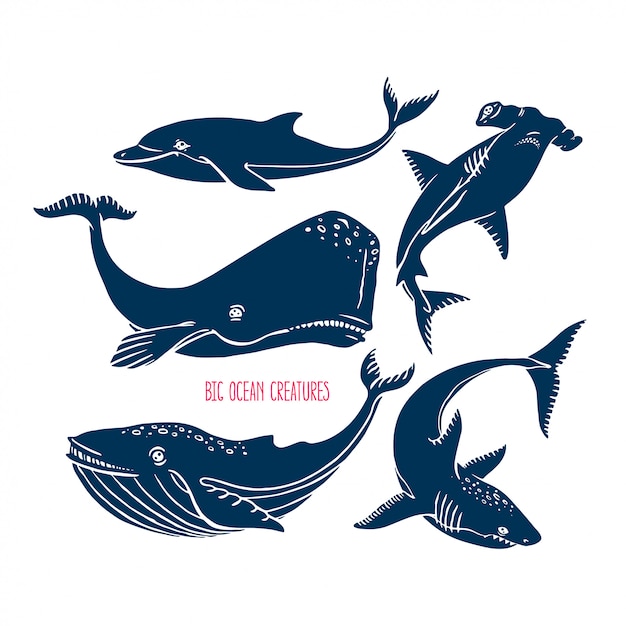 Diverse Collection of Captivating Ocean Creatures in Navy Blue | Jiffy ...