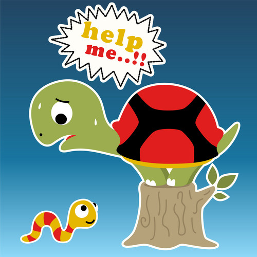 Funny Turtle Cartoon | Jiffy Designs