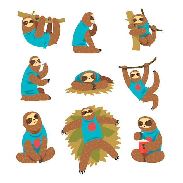 Charming Sloth Collection: Playful Poses and Vibrant Designs | Jiffy Designs