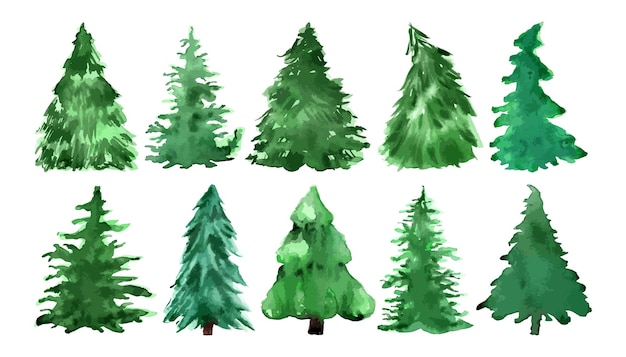 Enchanted Forest of Evergreen Pines: A Watercolor Wonderland | Jiffy ...