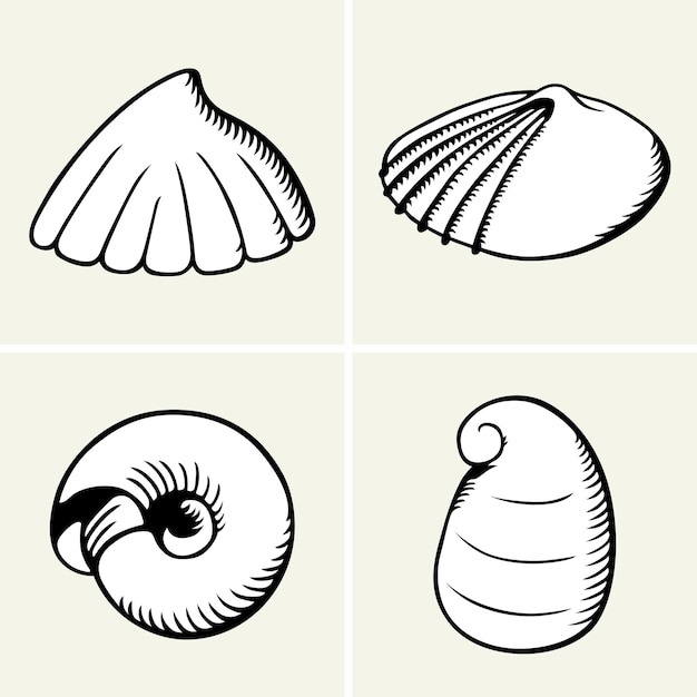 Diverse Collection of Stylized Seashell Illustrations | Jiffy Designs