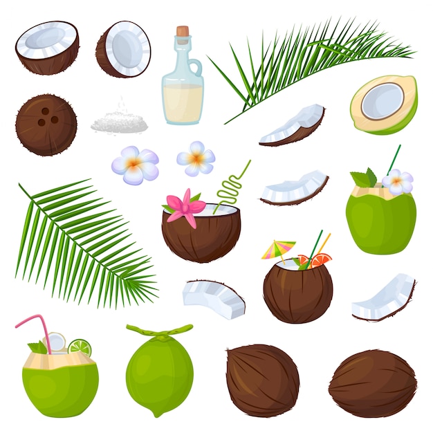 Vibrant Tropical Coconut Collection: Diverse Coconut-Themed Elements ...