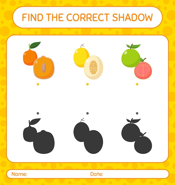 Vibrant Fruit Shadows: A Fun Matching Game | Jiffy Designs