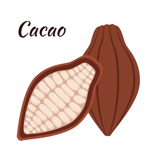 Delectable Cacao Pods Reveal Creamy Cocoa Treasures | Jiffy Designs