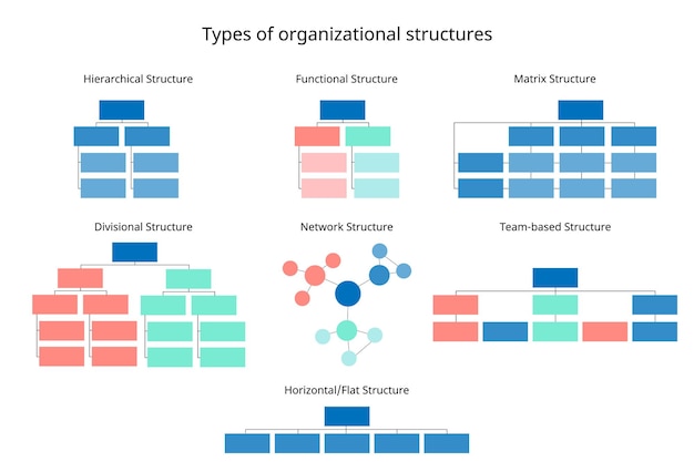 Diverse Organizational Structures: Hierarchical, Functional, and Matrix ...