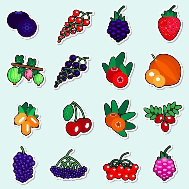 Vibrant Fruit and Berry Collection: A Diverse Visual Feast | Jiffy Designs