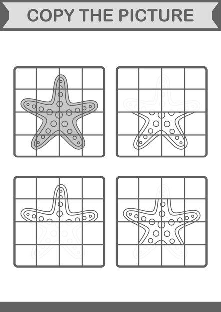 Charming Starfish Collection in Grid Arrangement | Jiffy Designs