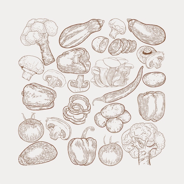 A Bountiful Harvest: Sketched Vegetables and Produce | Jiffy Designs