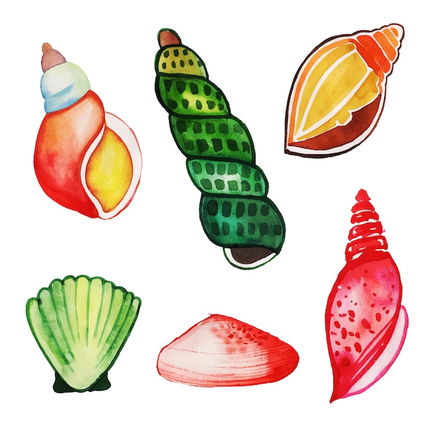 Vibrant Collection of Whimsical Shell Illustrations | Jiffy Designs