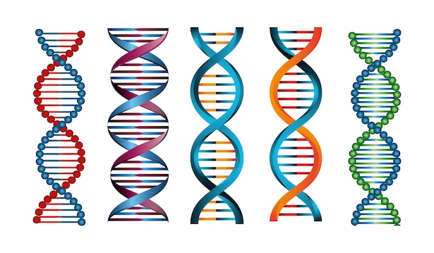 Diverse DNA Helix Collection with Vibrant Colors and Patterns | Jiffy ...