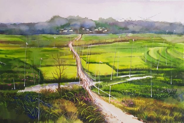 Serene Countryside Path Through Lush Rice Paddies | Jiffy Designs