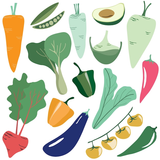 Vibrant Collection of Diverse Vegetable Illustrations | Jiffy Designs