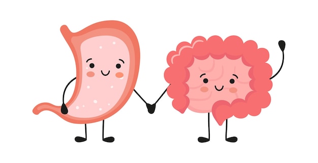 Cheerful Stomach and Intestine Cartoon Characters | Jiffy Designs
