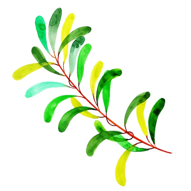 Vibrant Abstract Feather-Like Watercolor Illustration | Jiffy Designs