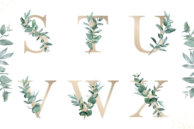 Elegant Botanical Alphabet with Lush Eucalyptus Foliage | Jiffy Designs